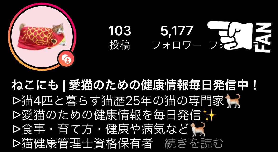 ねこにも@猫に人生捧げてる人 (@nekonimocats) | Twitter