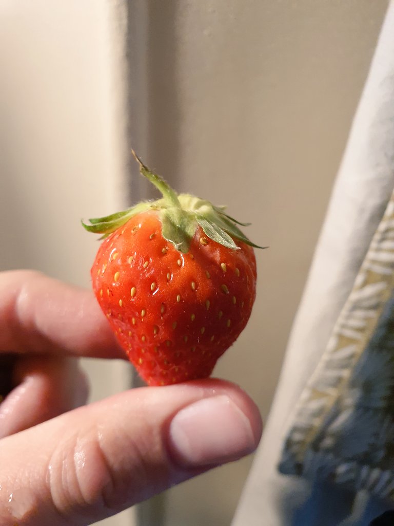 Gᥲຕຕᥲ 84 (@gamma84_) | Twitter