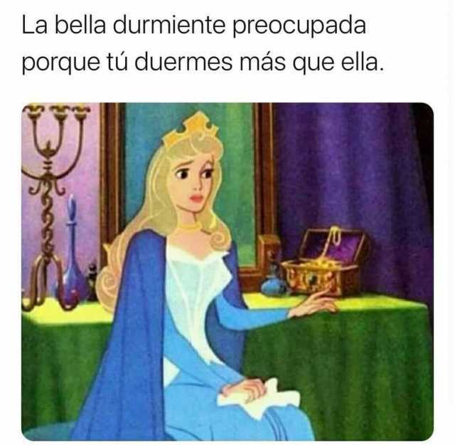 Memes De Perro Dormido