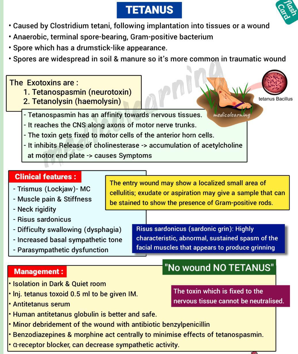 Clostridium Tetani Symptoms