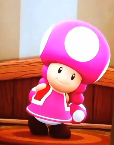 Toad And Toadette Double Dash