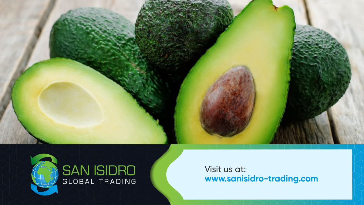 San Isidro Global Trading On Twitter Fight Dementia With Avocados