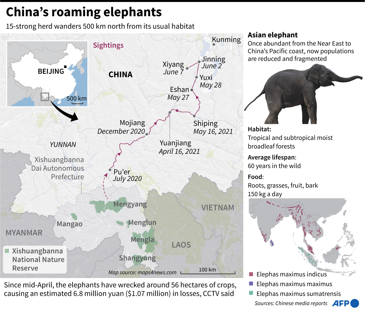 Where Do Elephants Live Map