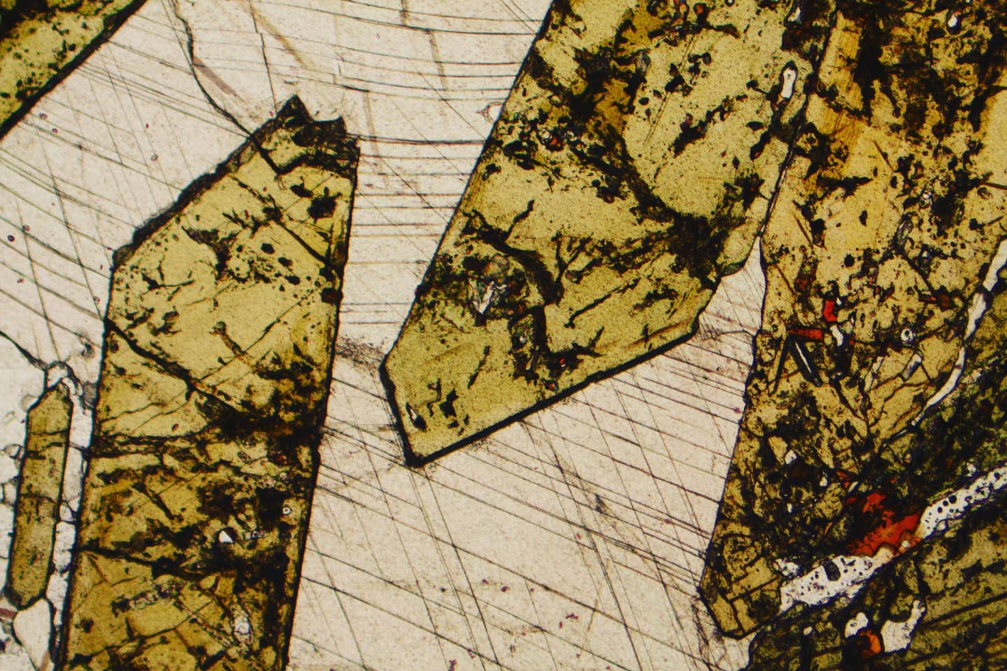 Aegirine Thin Section