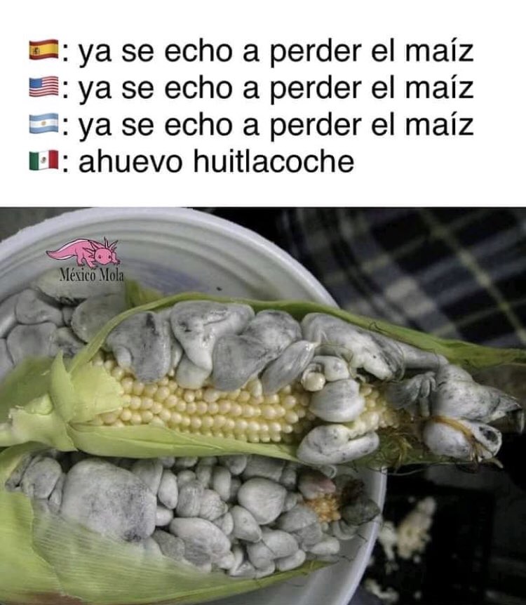 Memes Con Maiz