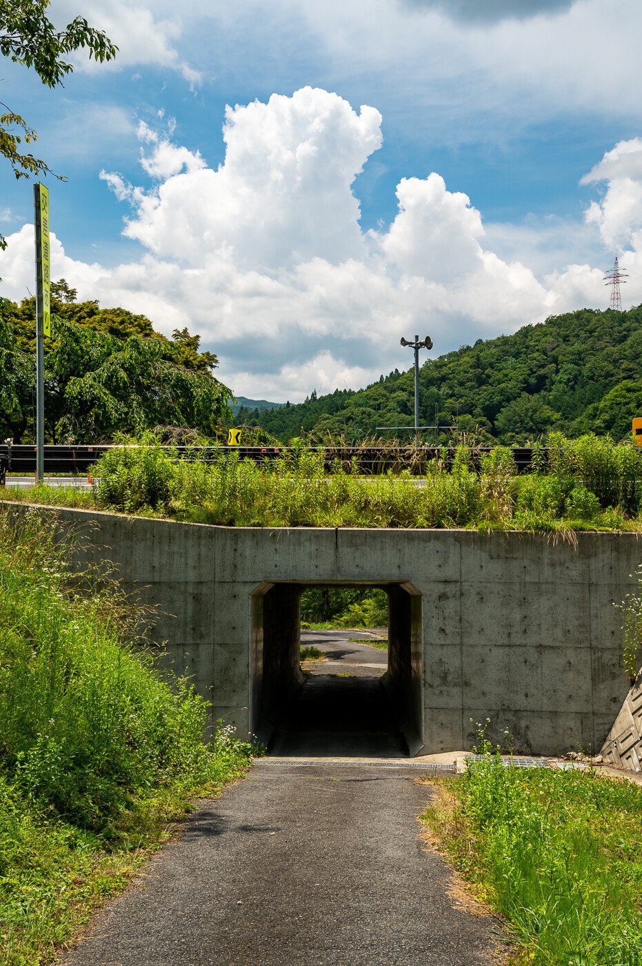 dokubutu on Twitter: "国道をくぐる 短いﾄﾝﾈﾙを抜けると 夏国であつた。 https://t.co/beNCJrhSbe" / Twitter