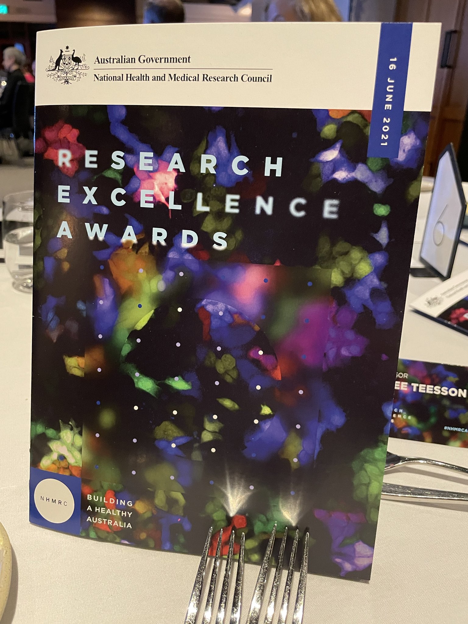 Prof Maree Teesson AC on Twitter: "At the ⁦@nhmrc⁩ research awards celebrating amazing medical ...