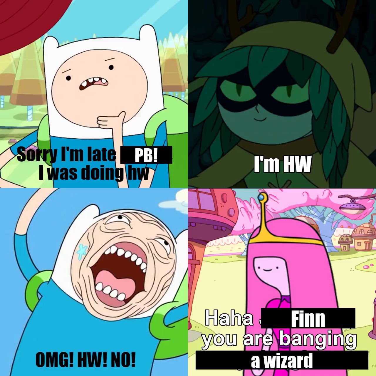 Finn X Princess Bubblegum