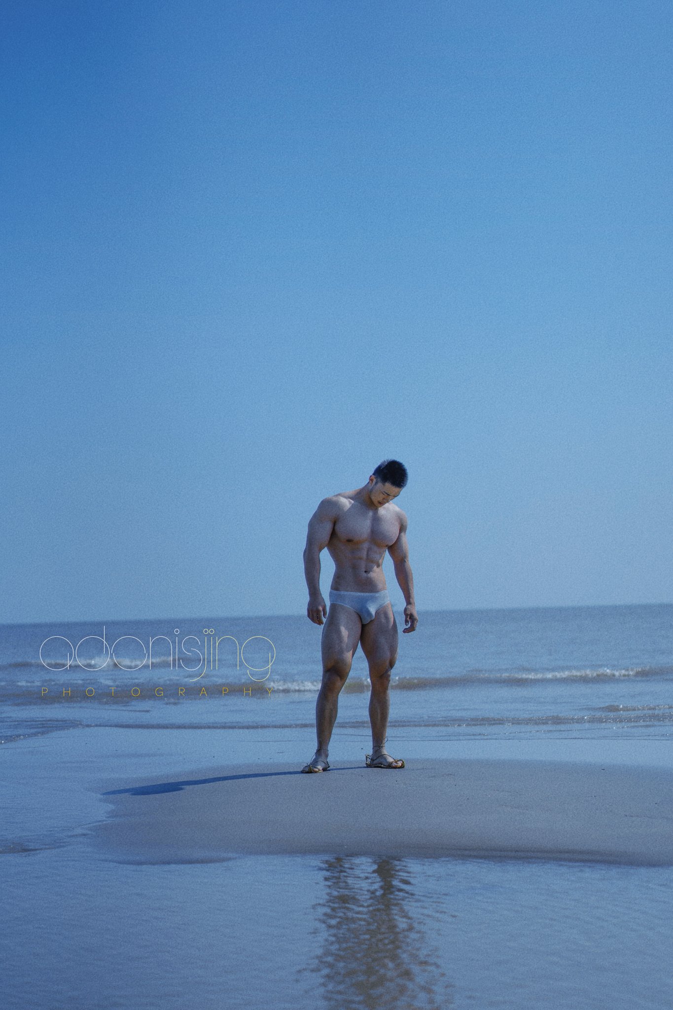 adonisjing on Twitter: "无人岛…