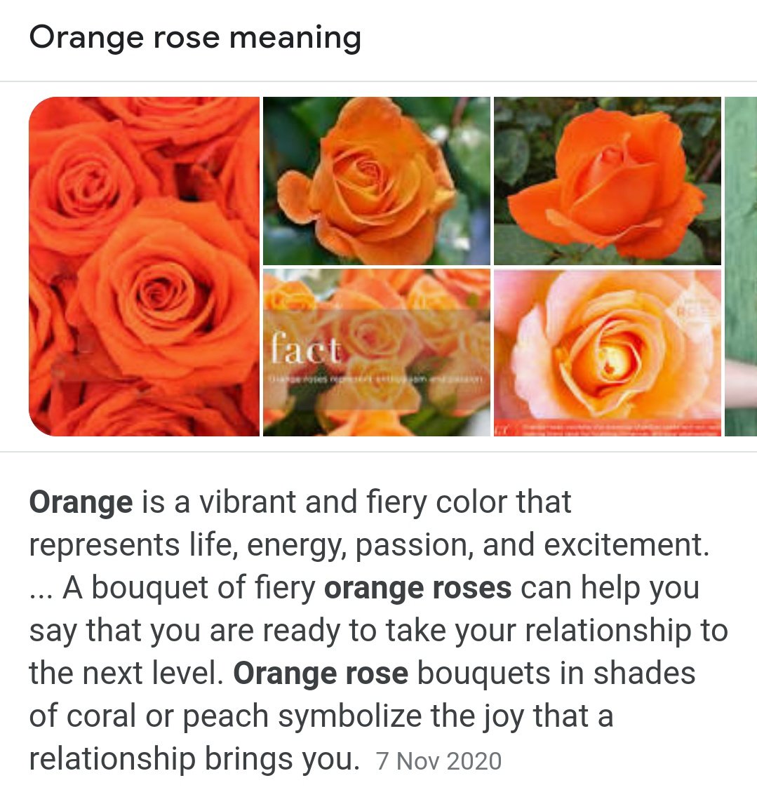 Single Orange Rose Meaning