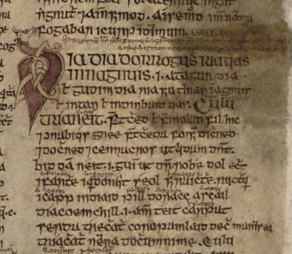 scribalstyles (@scribalstyles) | Twitter