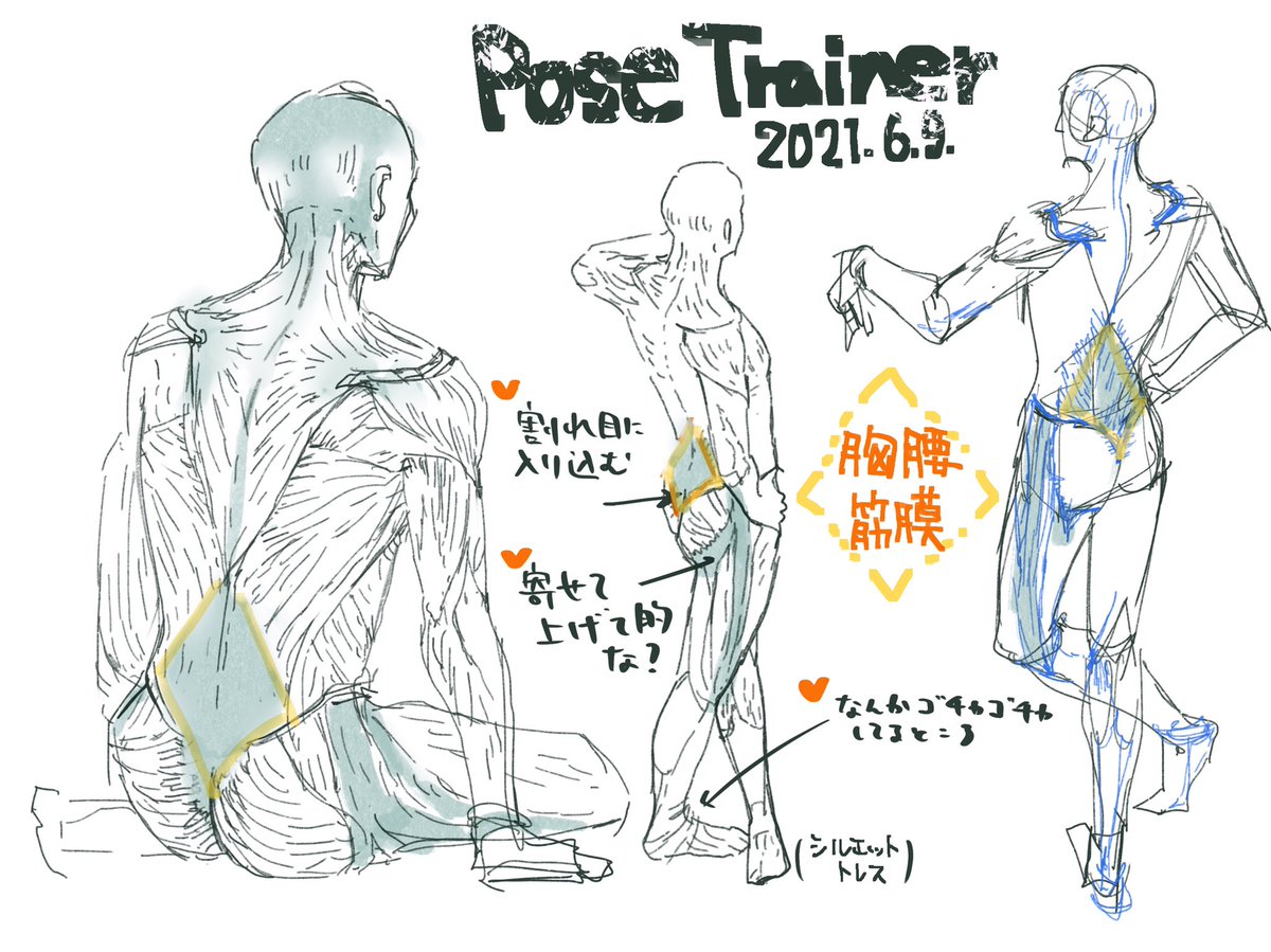 「pose trainerというサイト 筋肉繊維の流れが美しい〜〜😊 広背筋とお尻の間にダイアモンドがあることを発見し」春希🍊趣味のお絵描きの漫画