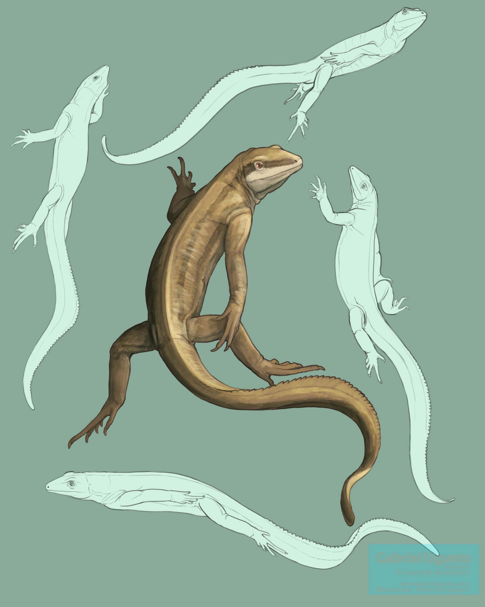 Carboniferous Reptiles