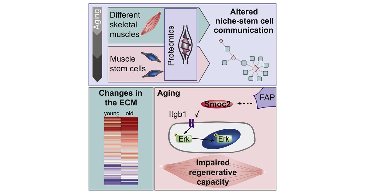 Armando Villalta (@VillaltaLab) | Twitter