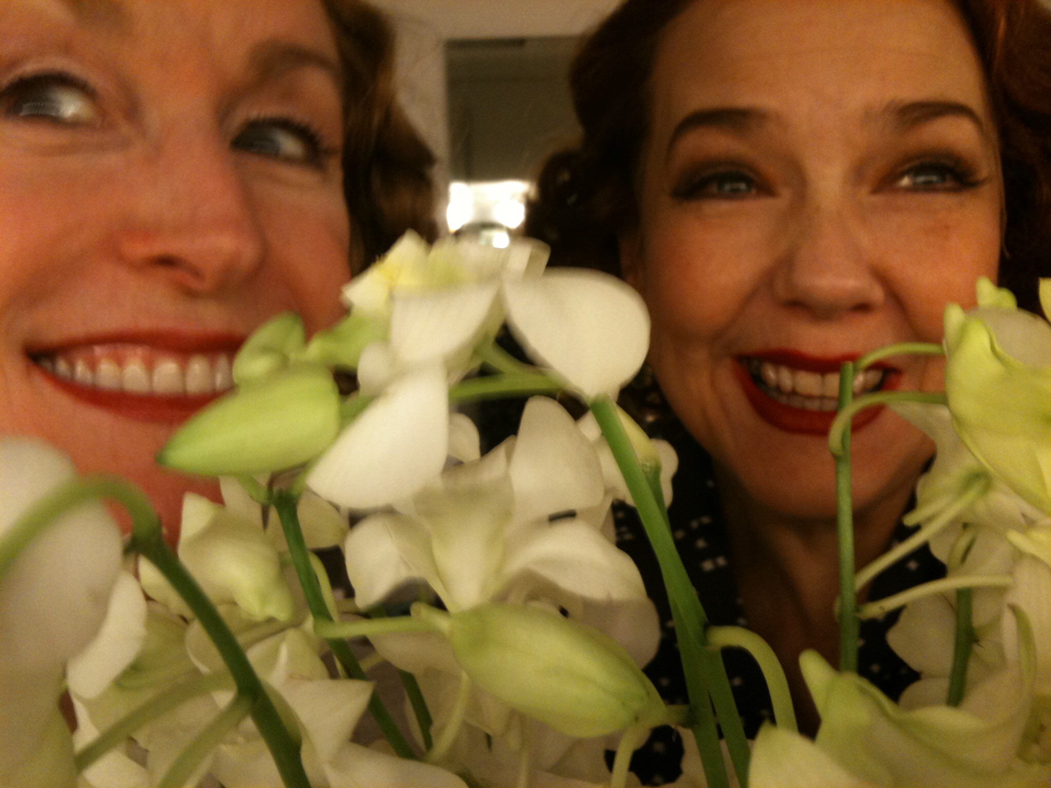 Harriet Sansom Harris On Twitter My Darling Brilliant And Beautiful