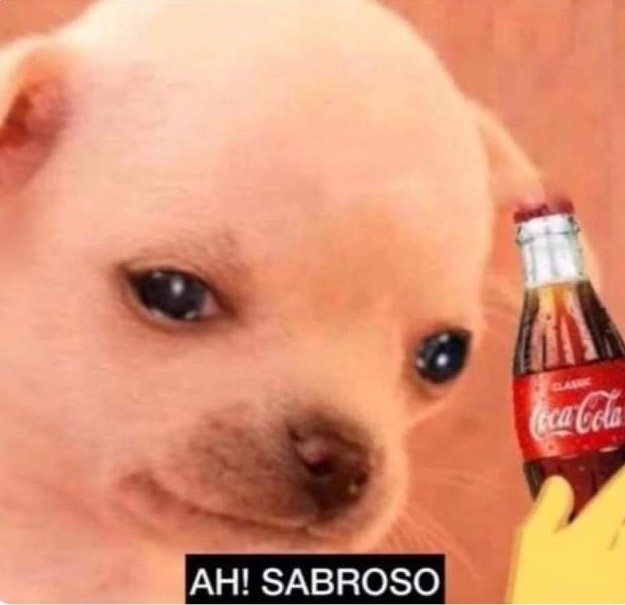 Besugo Excelente Y equipo perro tomando coca cola exterior menta contar