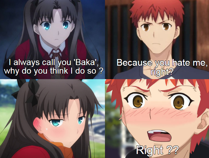 Fate Shirou Memes Shirouday Memes. Best Collection Of Funny Shirouday