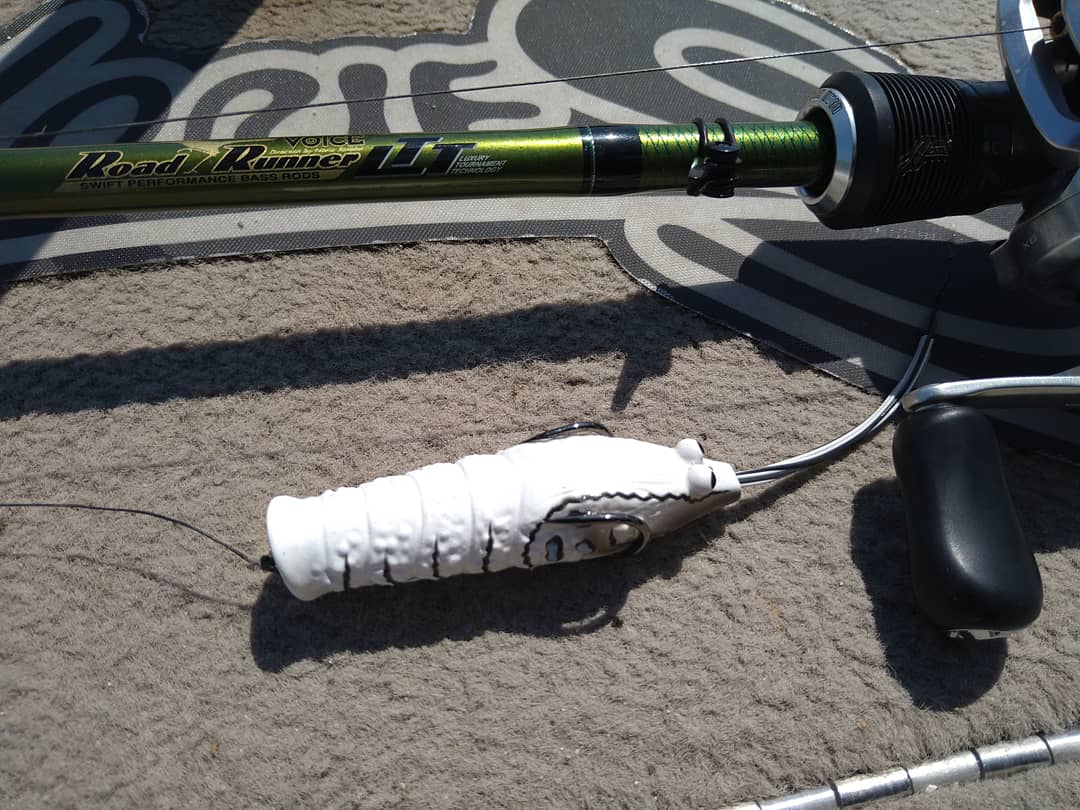 三上 哲 on Twitter: "ノリーズ、エビガエルで51cm2kgOVER ロッド：ロードランナーLTT630MH ライン：シーガーFLIPPIN65lb ルアー：エビガエル #ノリーズ ...