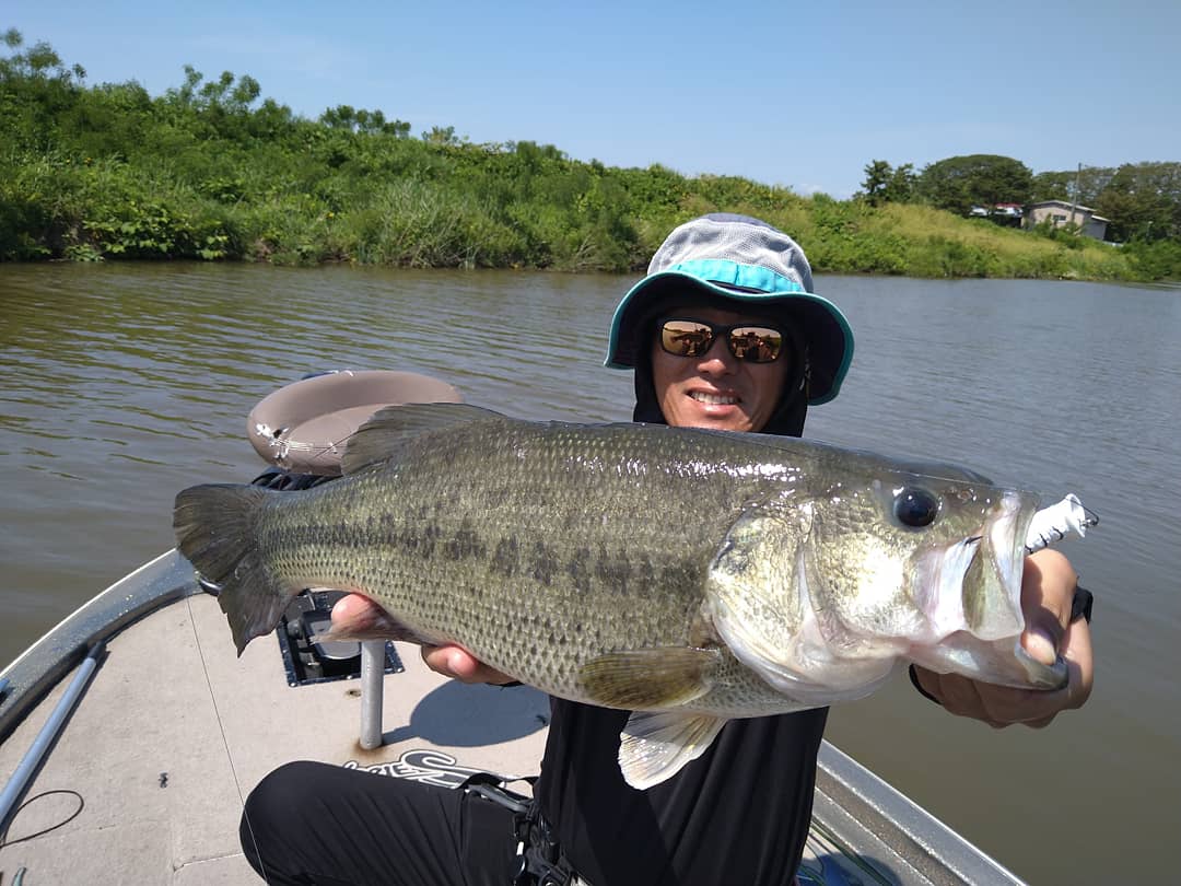 三上 哲 on Twitter: "ノリーズ、エビガエルで51cm2kgOVER ロッド：ロードランナーLTT630MH ライン：シーガーFLIPPIN65lb ルアー：エビガエル #ノリーズ ...