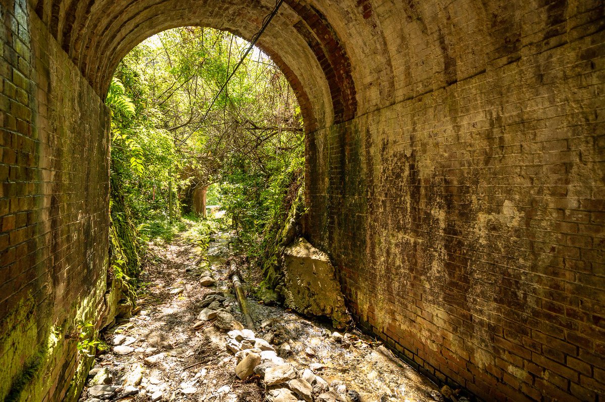 dokubutu on Twitter: "https://t.co/uYgtEoWUJO"