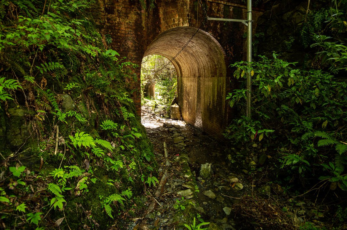 dokubutu on Twitter: "https://t.co/uYgtEoWUJO"