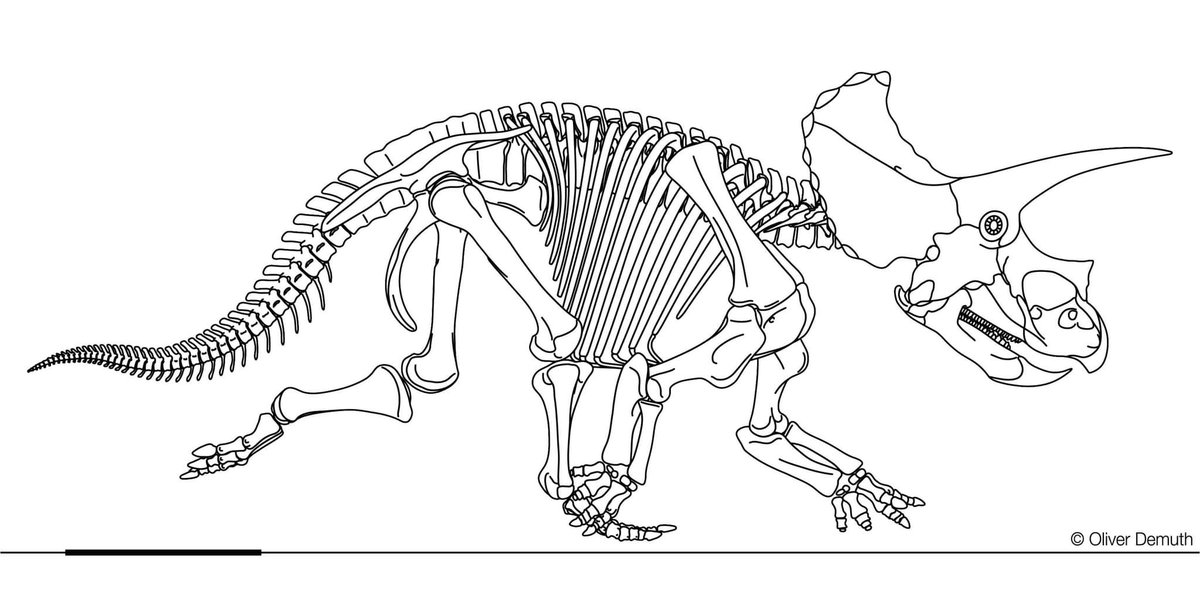 Oliver Demuth (@OliverDemuth) さんのイラスト・マンガ作品まとめ (15 件) - Twoucan