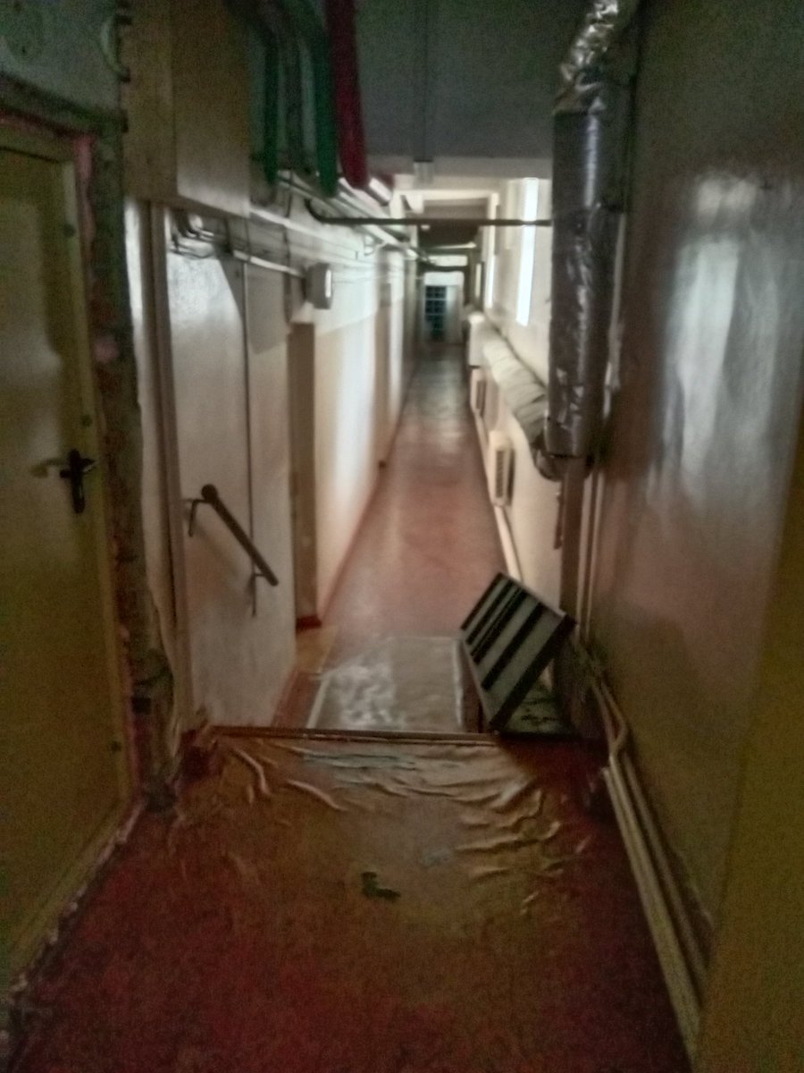 Коричная_булочка_с_перцем (@prosto_bloop) | Twitter