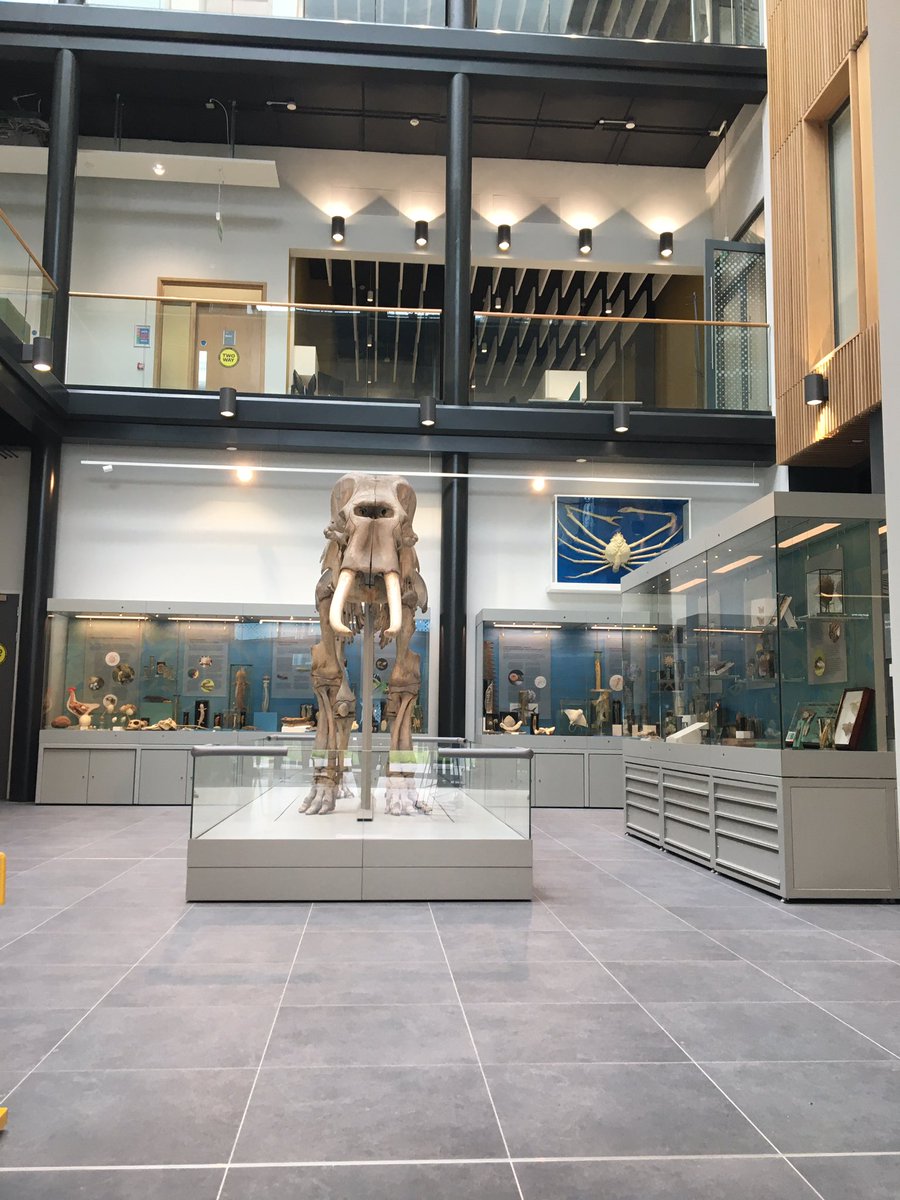 Collections – Cole Museum