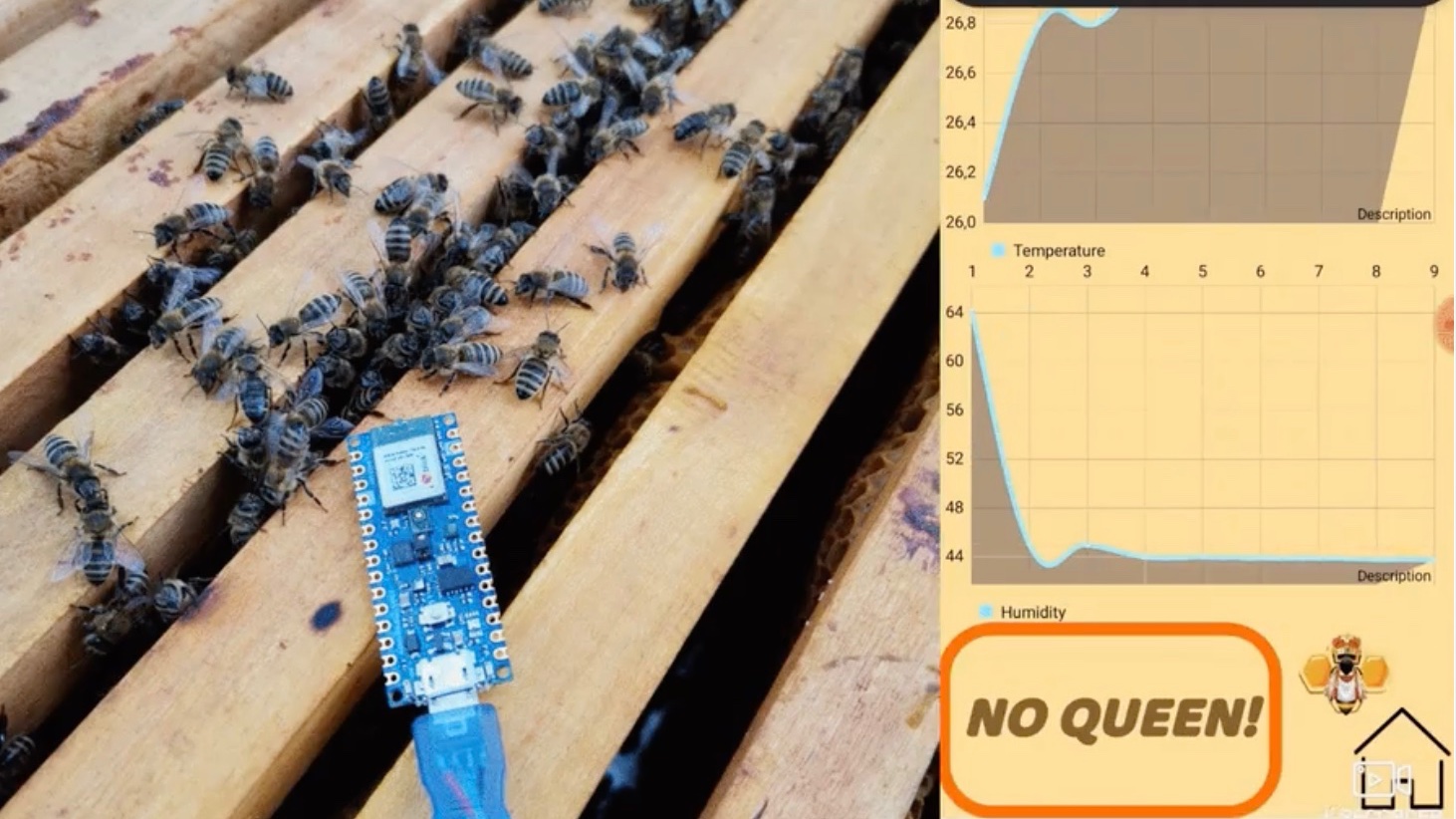 Arduino on Twitter: "This tinyML system monitors hive health by listening to and analyzing the ...