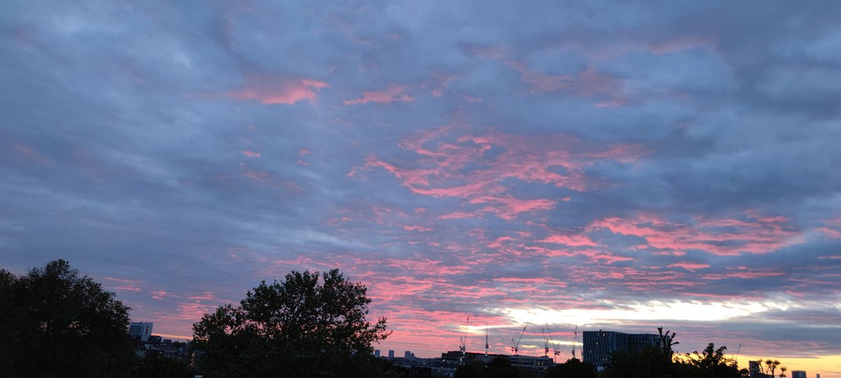 Lei Gao (@LeiGao_Oriana) | Twitter