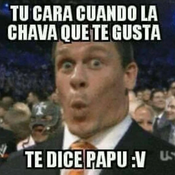 Te Gusta Papi Memes