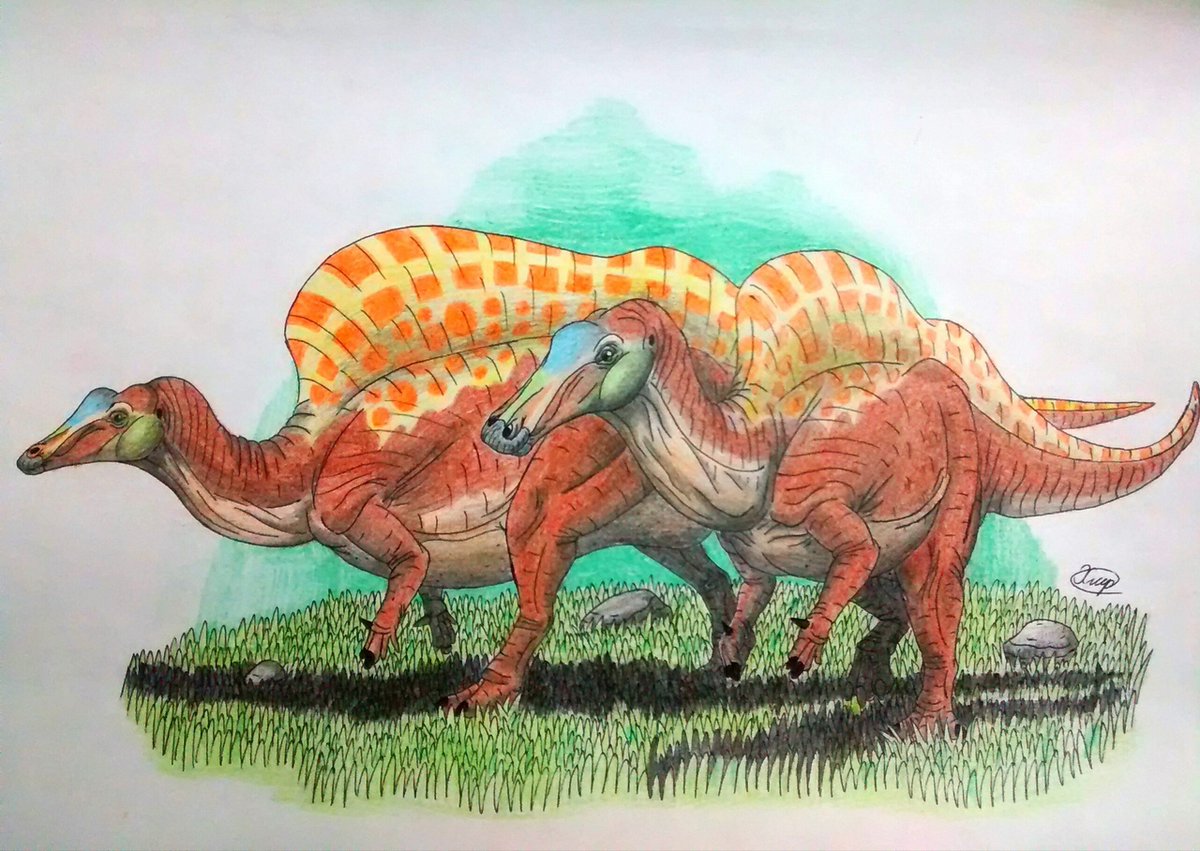 Ouranosaurus Drawing