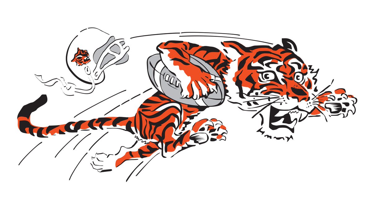 Old Nfl Bengals