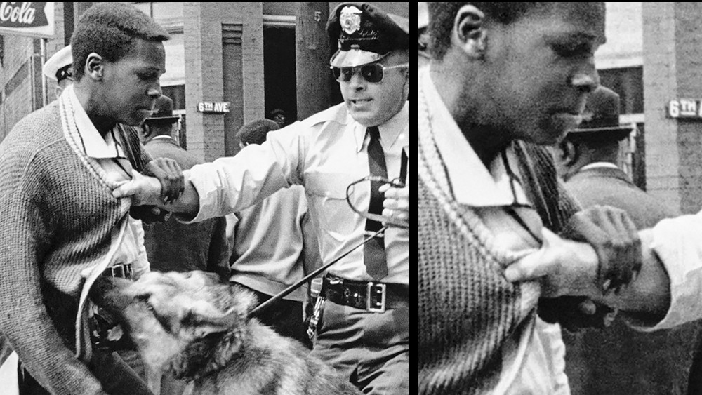 Civil Rights Marches Dogs