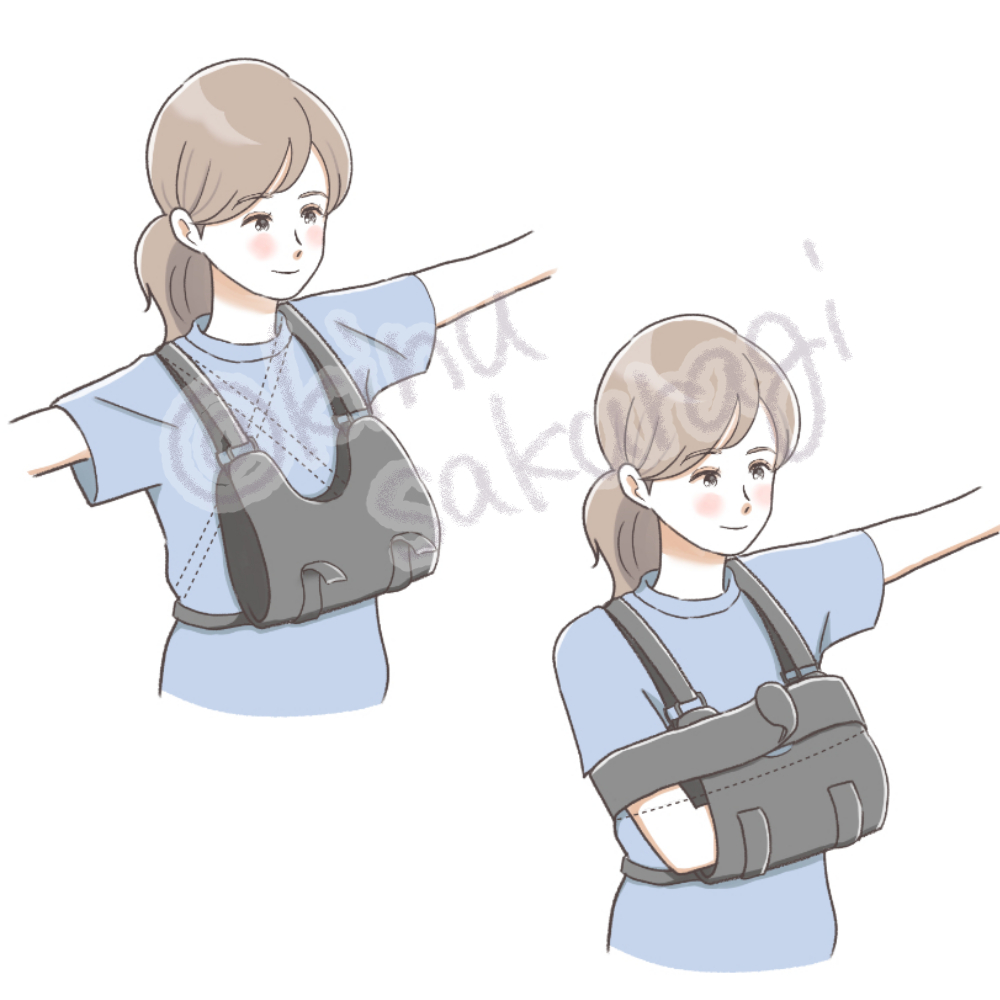 桜木きぬ マンガ描きます on Twitter: "サポーターの説明のためのイラスト #きぬの仕事 #イラスト #有償イラスト #ココナラ や #ランサーズ からご依頼いただくと簡単です ...