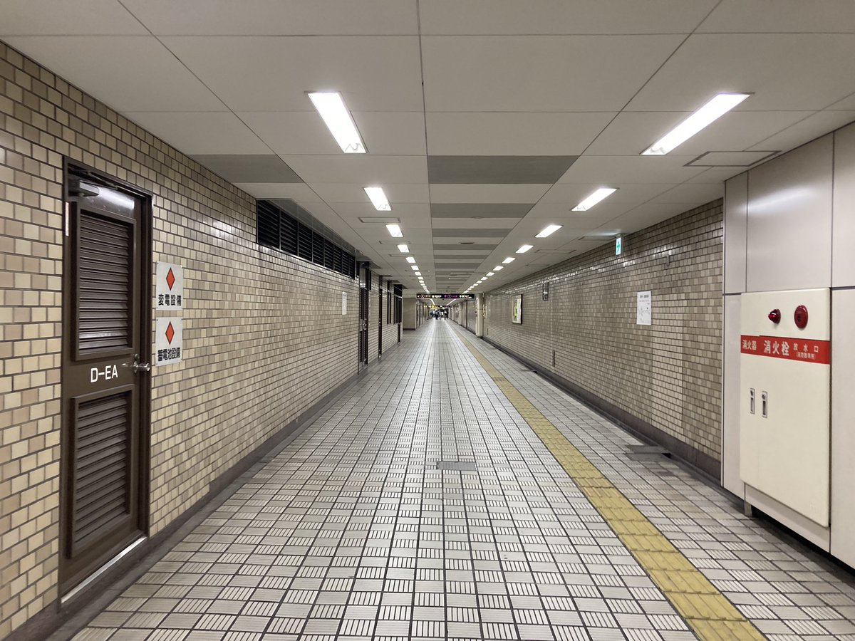 にんじん (@ninjin_scp) | Twitter