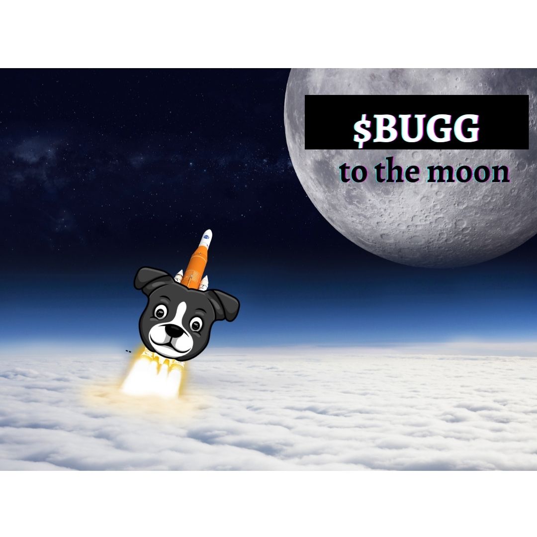 Bugg Inu on Twitter: "$BUGG has exciting news / key event coming up soon: 1) Going to ...