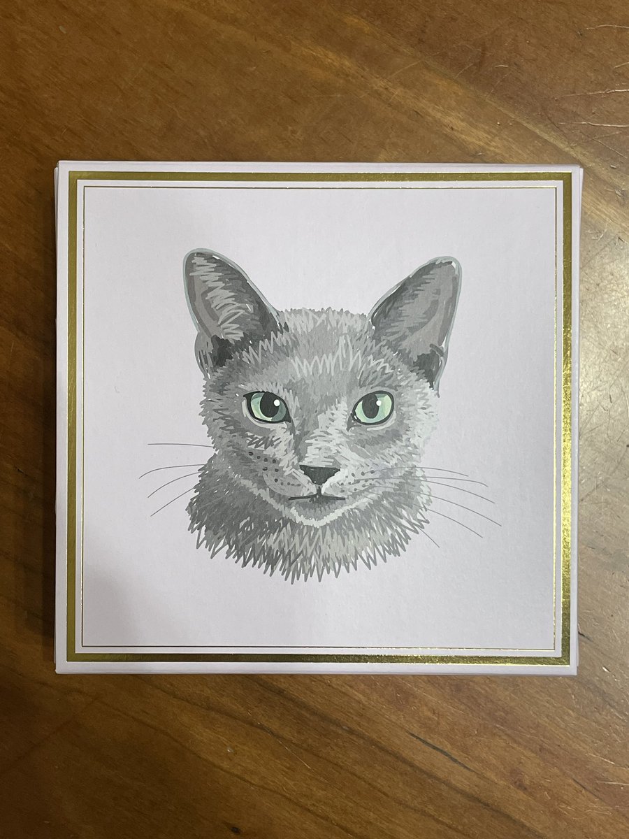 ねこにも@猫に人生捧げてる人 (@nekonimocats) | Twitter