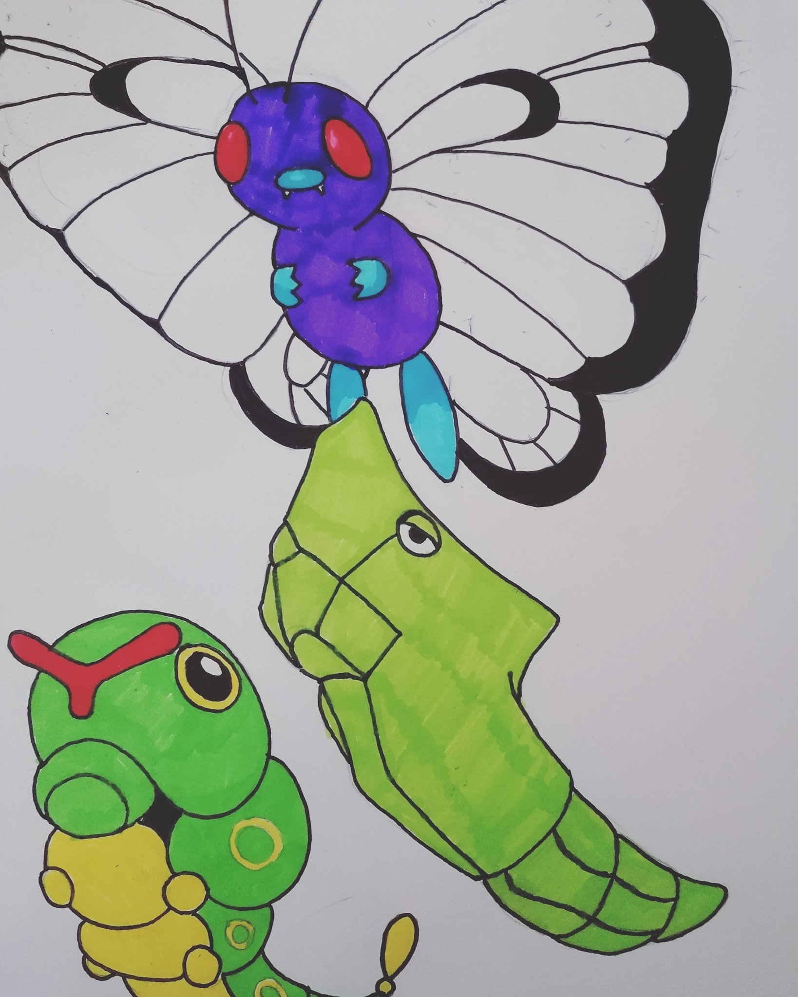 Caterpie Evolution