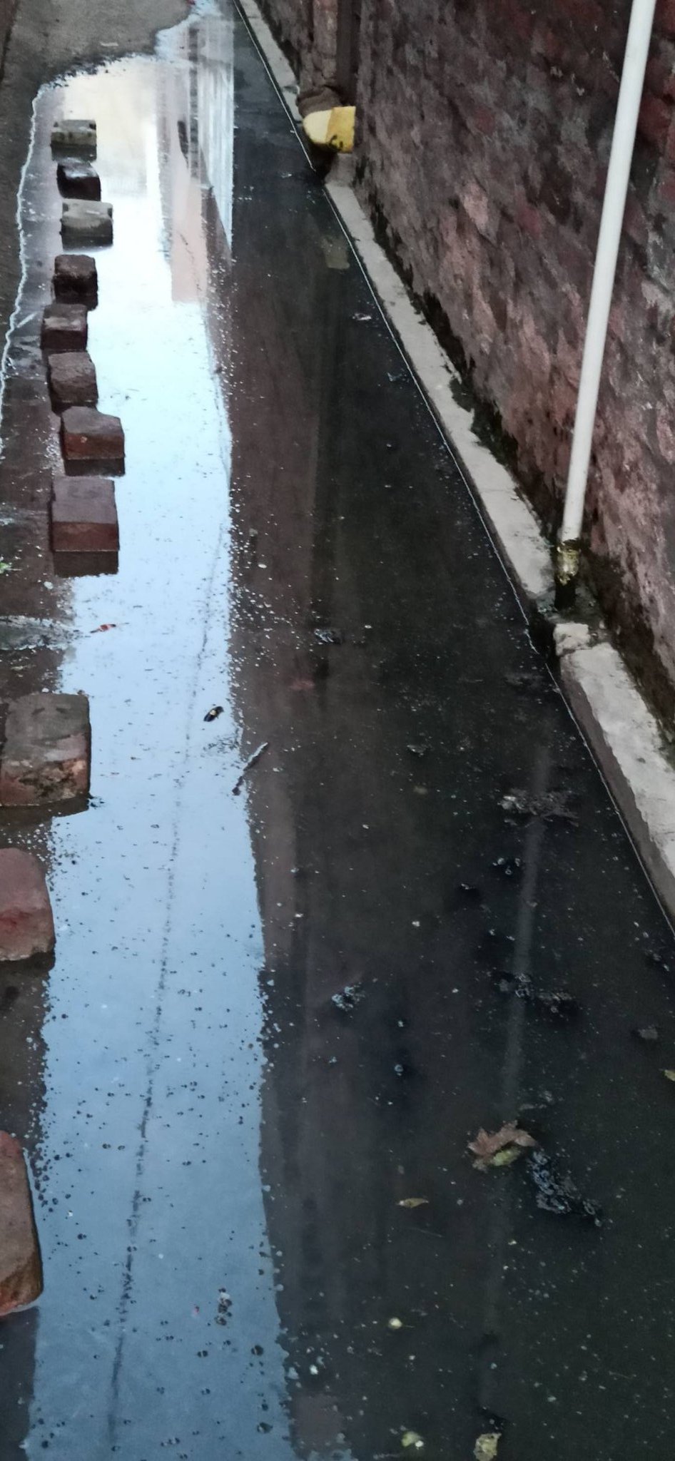 Devender Kumar Vashist on Twitter: "श्रीमान @DC_Palwal, @cmohry @ManoharMirror @DIPROPALWAL ...