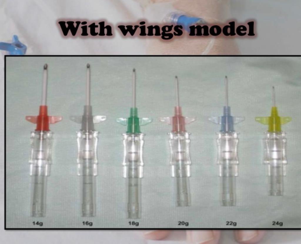 WHAT IS AN IV IVs act as a delivery system to introduce certain items ...