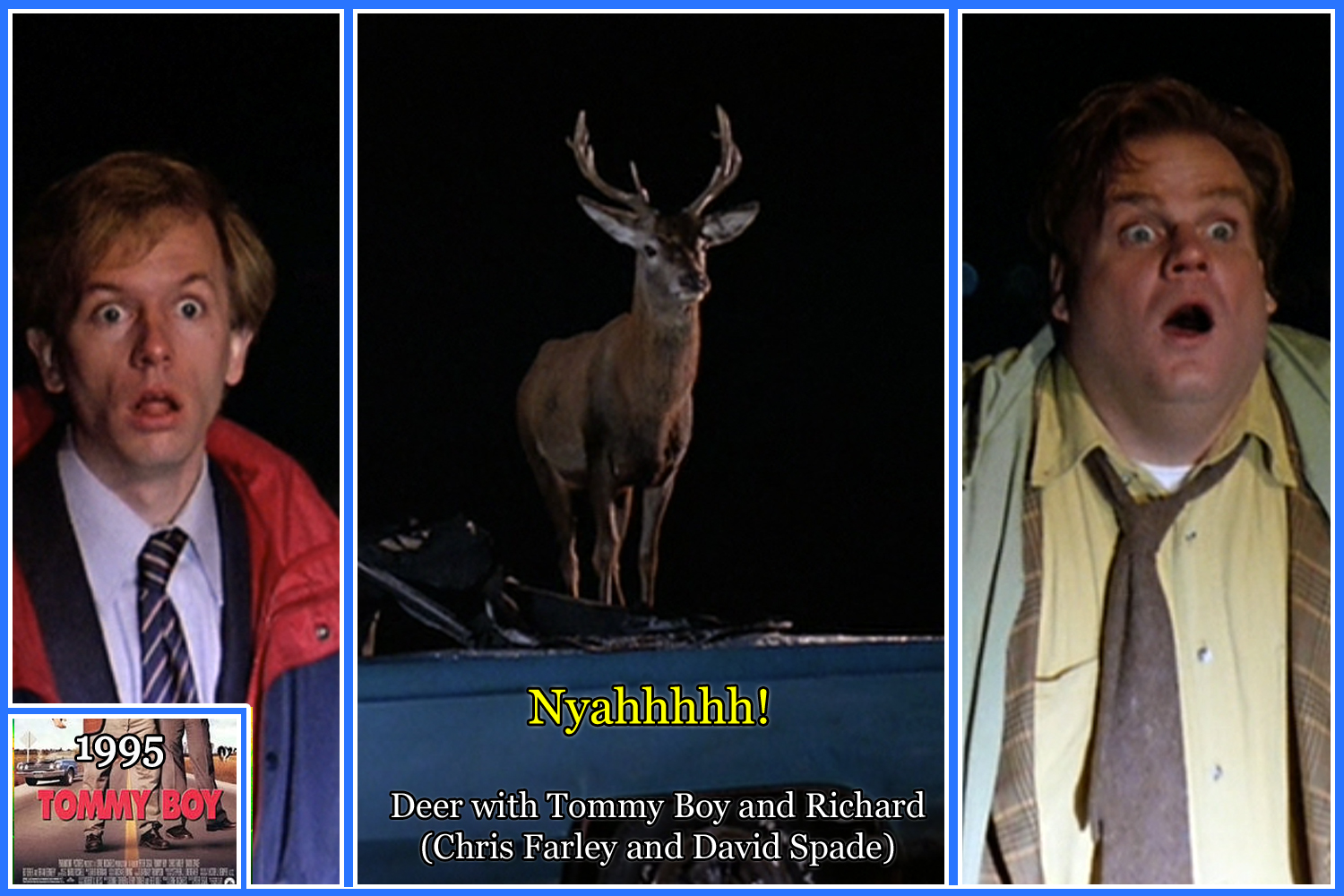 Tommy Boy Deer