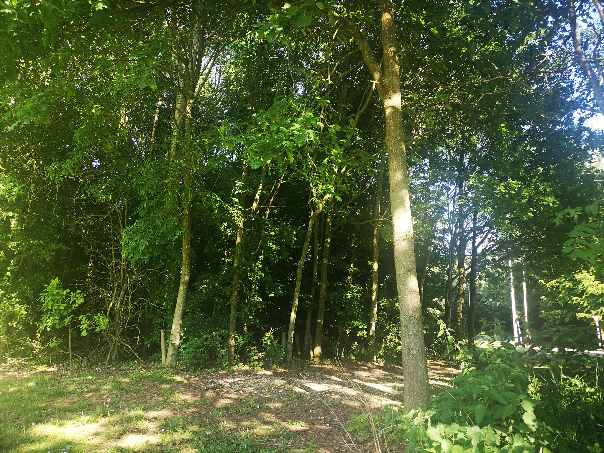 TW Pornstars - 3 pic. Ts Celine ADULT ACCOUNT Over 18s Only. Twitter ...