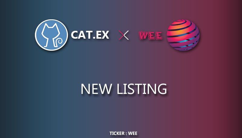 Catex Exchange (Now #BSC) on Twitter: "Catex Exchange will list Wee Token $WEE! WEE/ETH will be ...