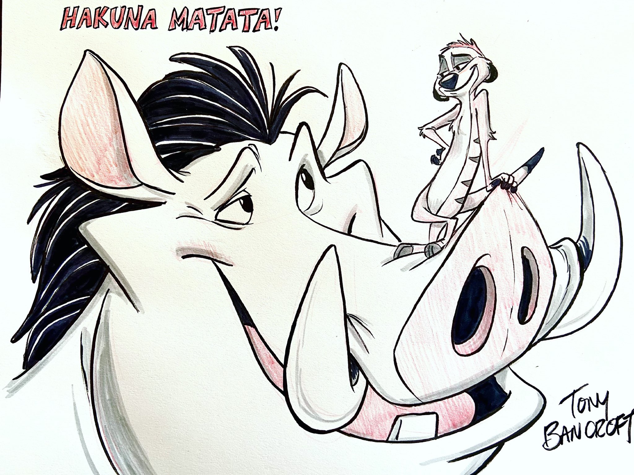 Malvorlage Timon Und Pumbaa Hakuna Matata Ausmalbild Timon Und Pumbaa