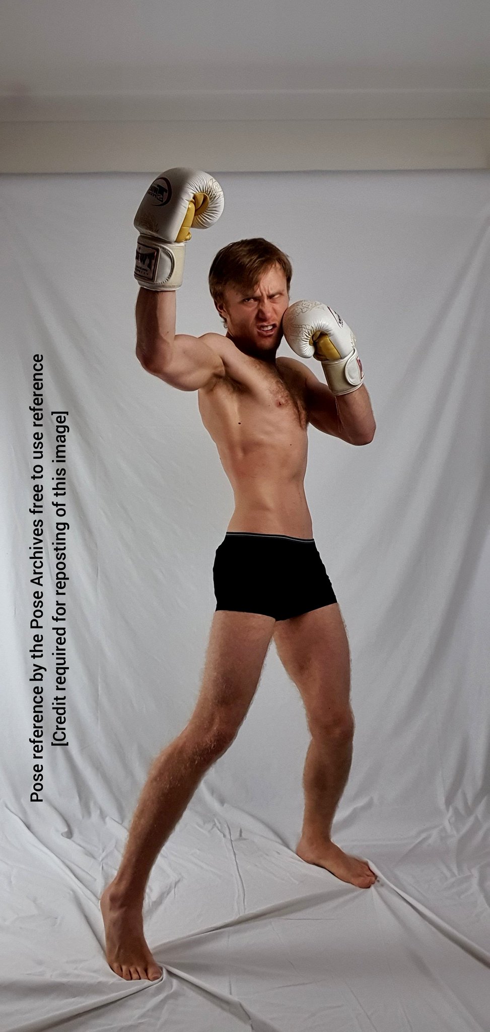 Punching Pose Reference