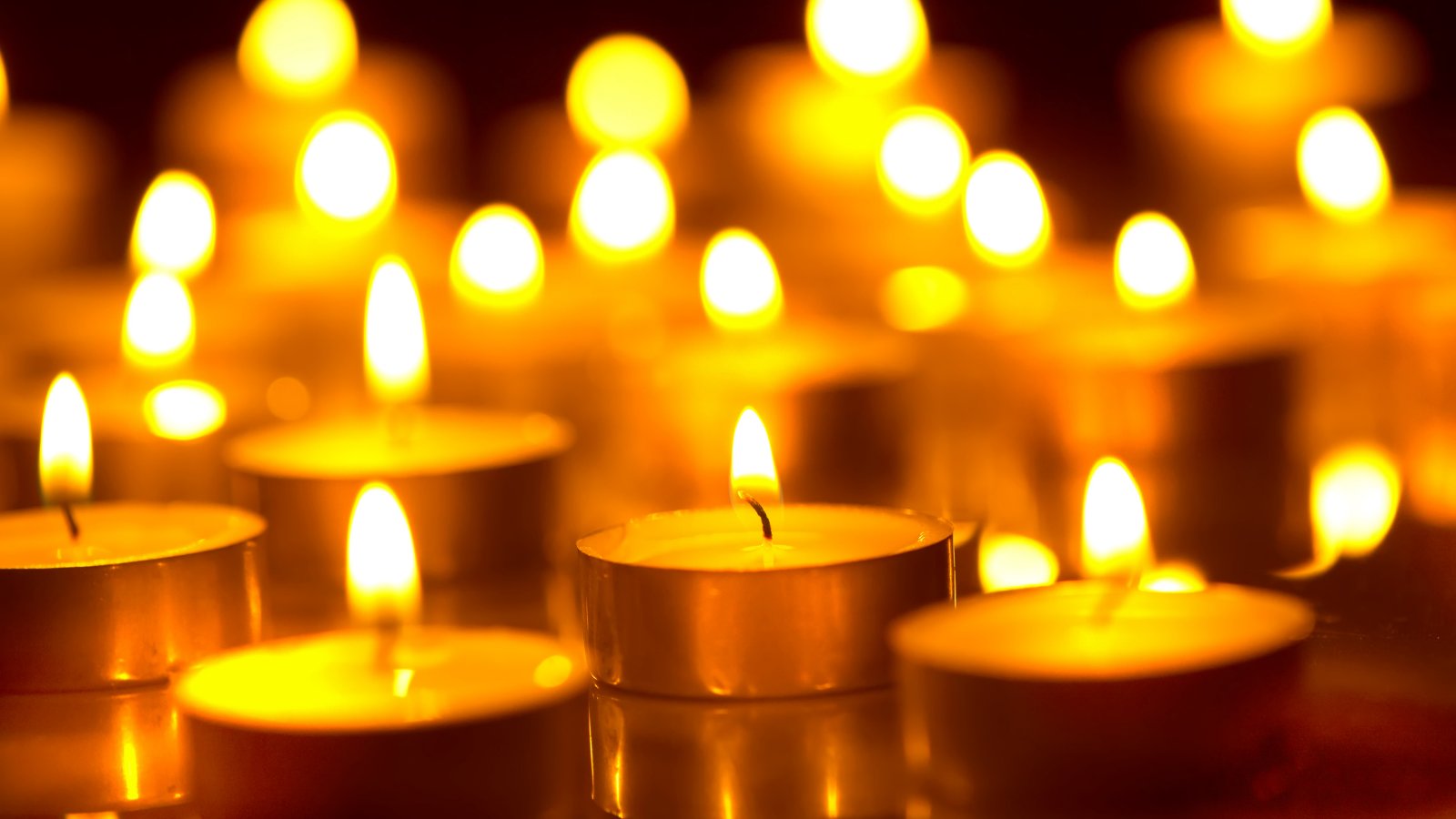 Peel District School Board On Twitter We Are Saddened To Share The peel-district-school-board-on-twitter-we-are-saddened-to-share-the