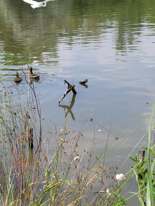 TW Pornstars - Erica Bannon. The most retweeted pictures and videos for ...