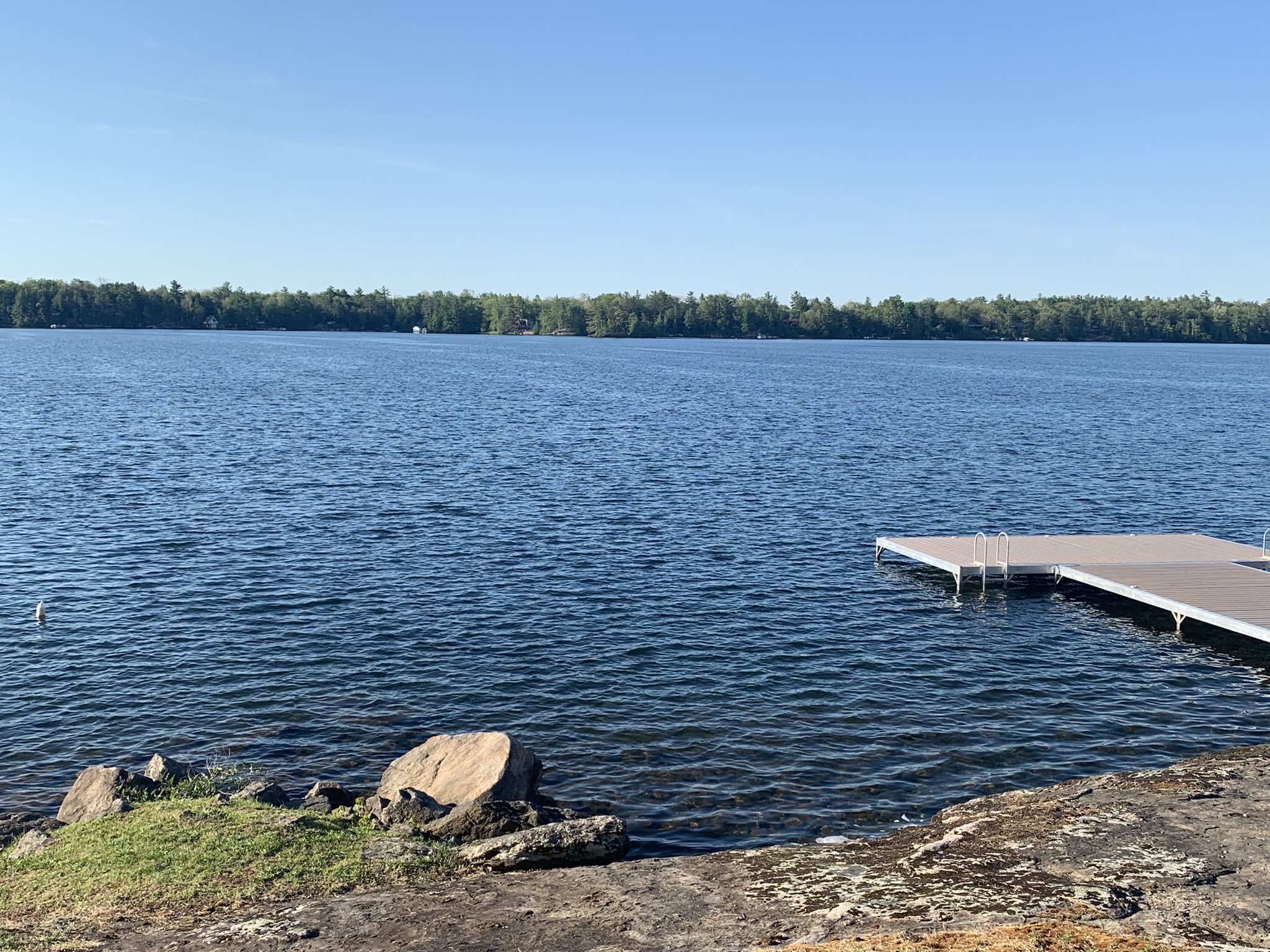 Abby Lim (@the_abby_limmy) / Twitter