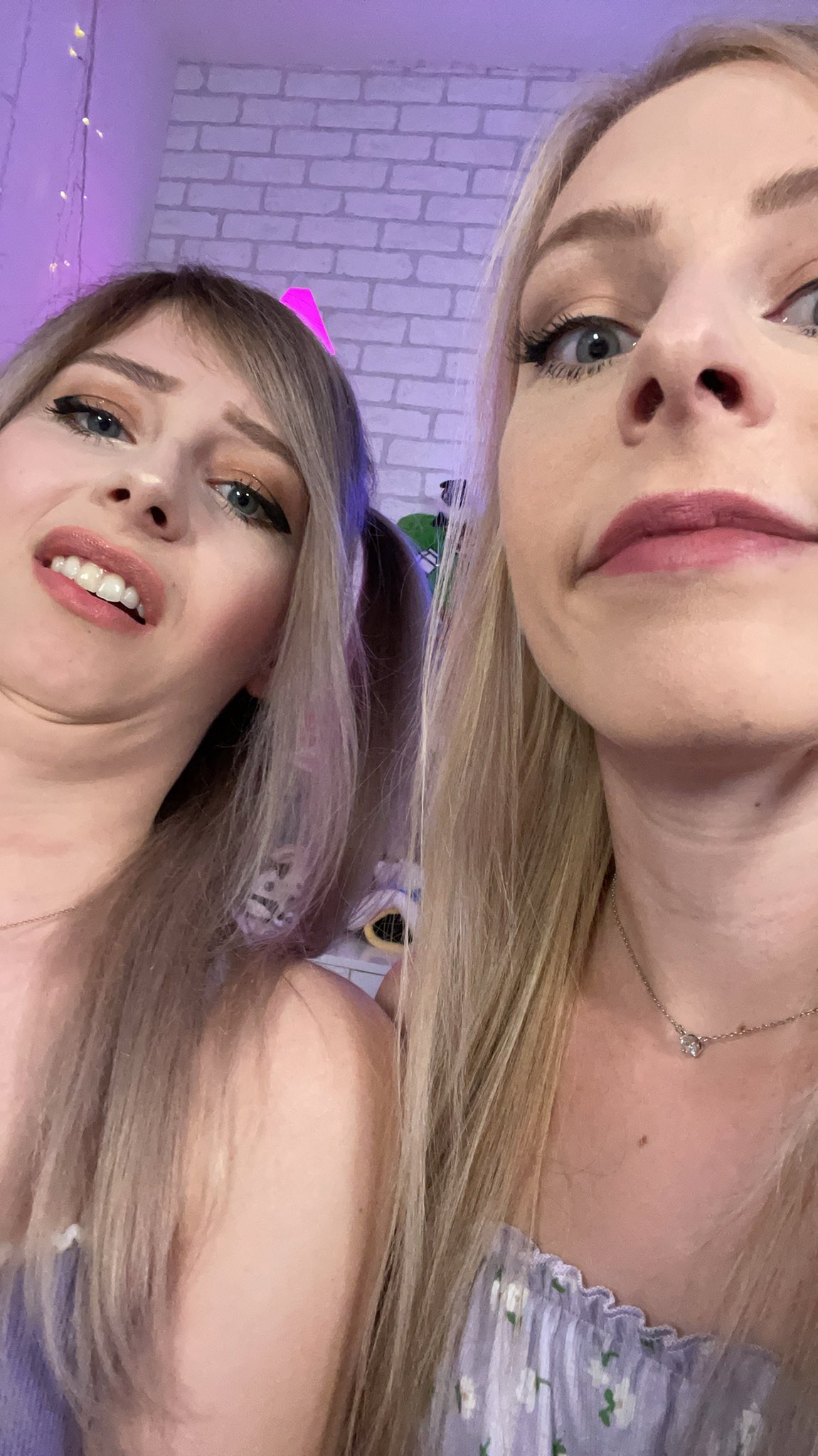 Milschbaum on Twitter: "Online https://t.co/Y8iN4GlAOI https://t.co/cAmUYiCjYI" / Twitter